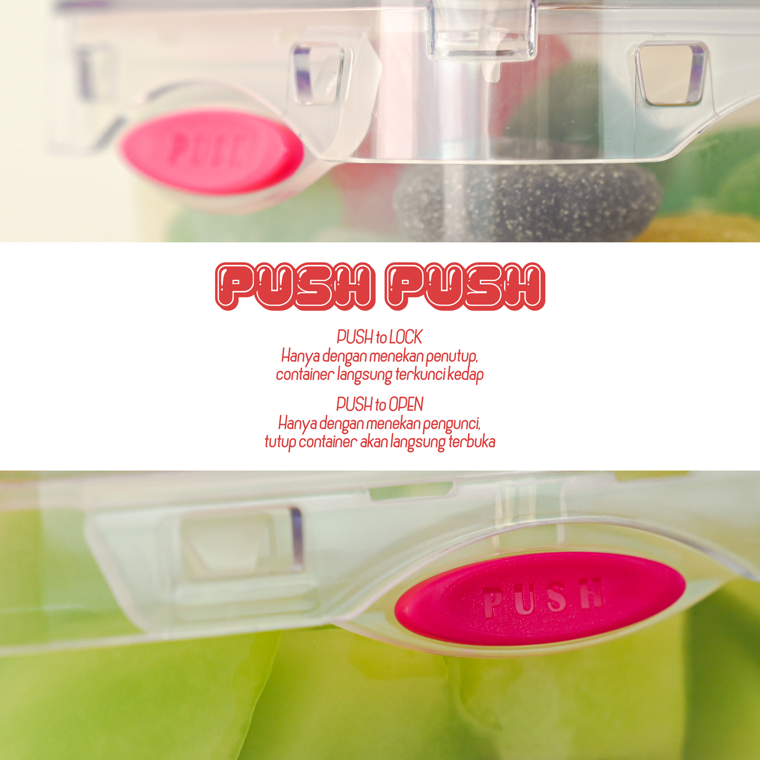 Push Push Food Container - HALODROPSHIP